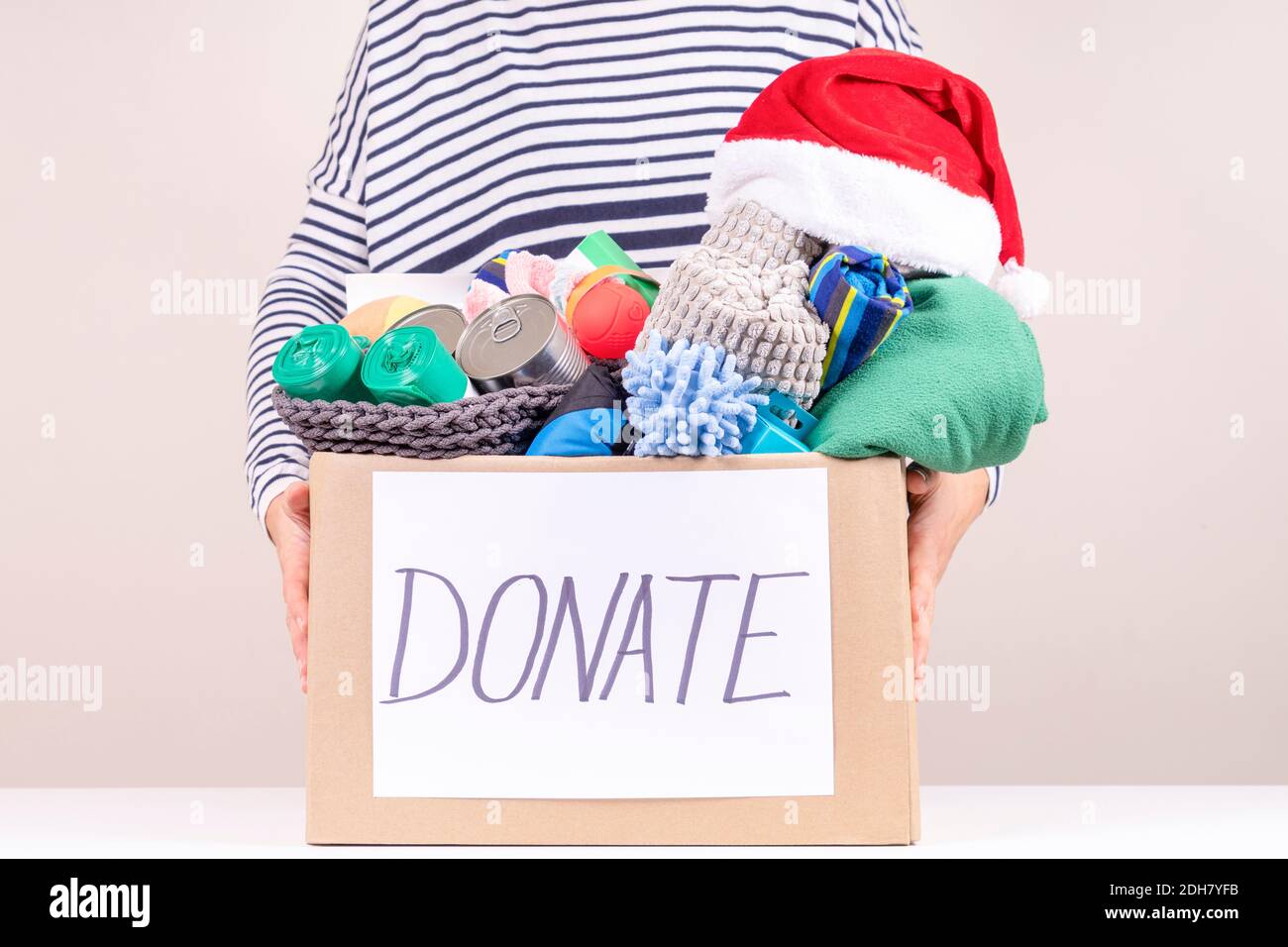 Christmas animal donation. Volunteer holding donation box with animal ...