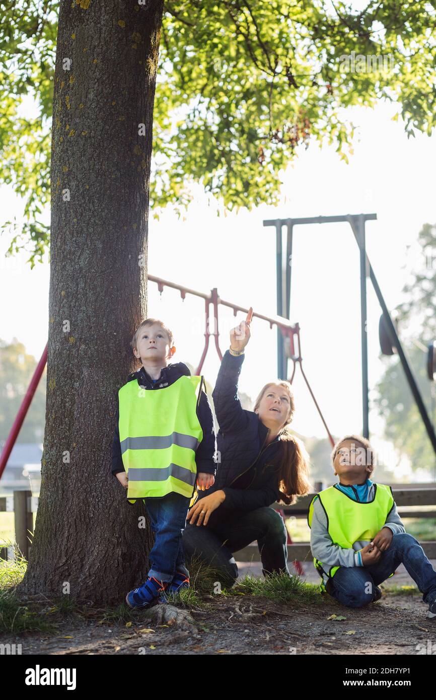 Teacher pointing at tree while children looking up Stock Photo - Alamy