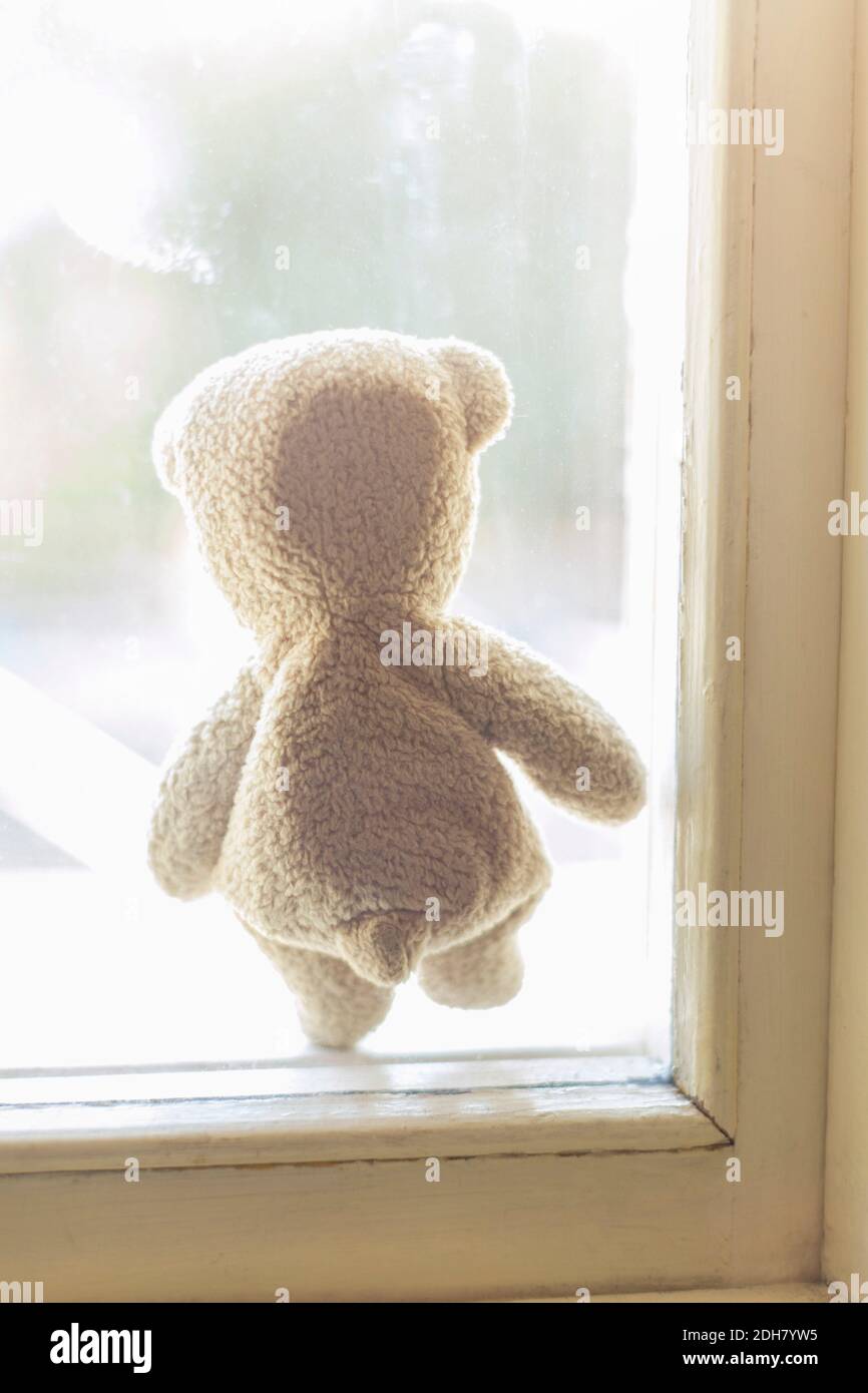 Teddy bear on window sill Stock Photo - Alamy
