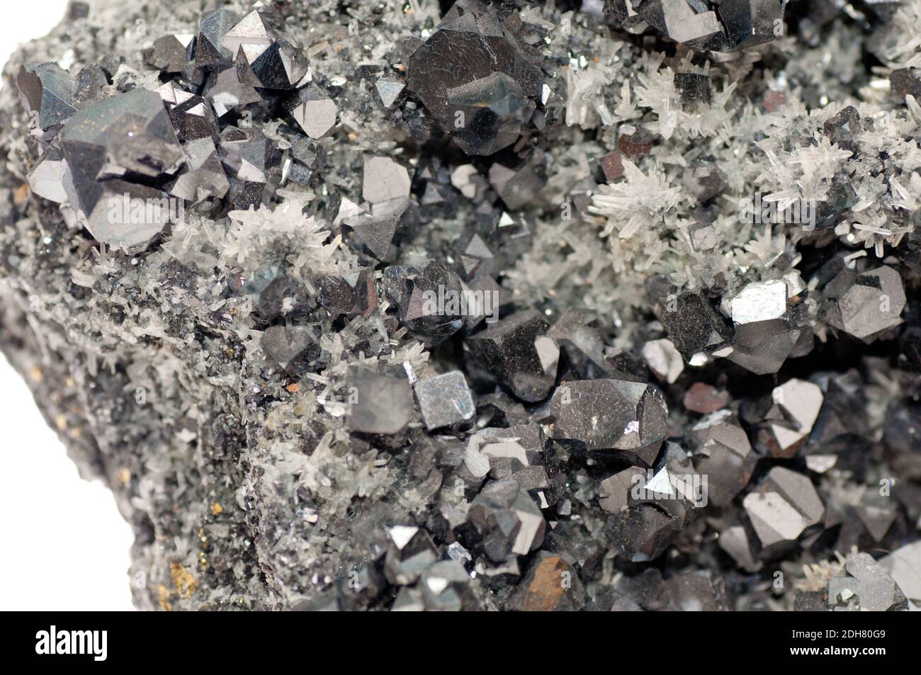 galena metallic ore mineral sample, a rare earth mineral Stock Photo ...