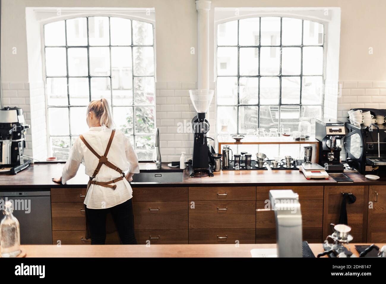 Rear view of female barista working at cafe counter Stock Photo - Alamy