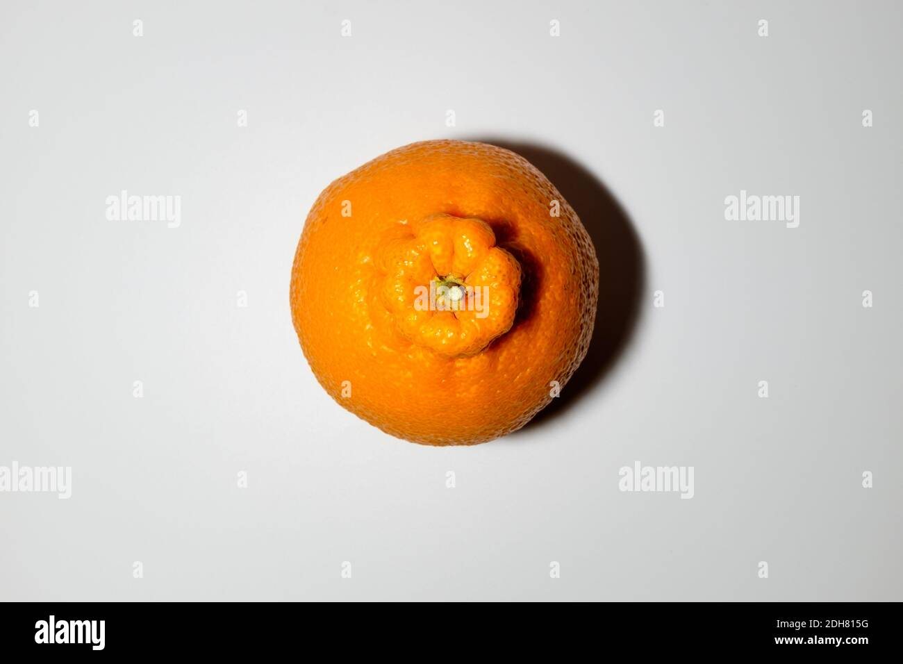 Jeju Island Citrus Hallabong on white background Stock Photo - Alamy