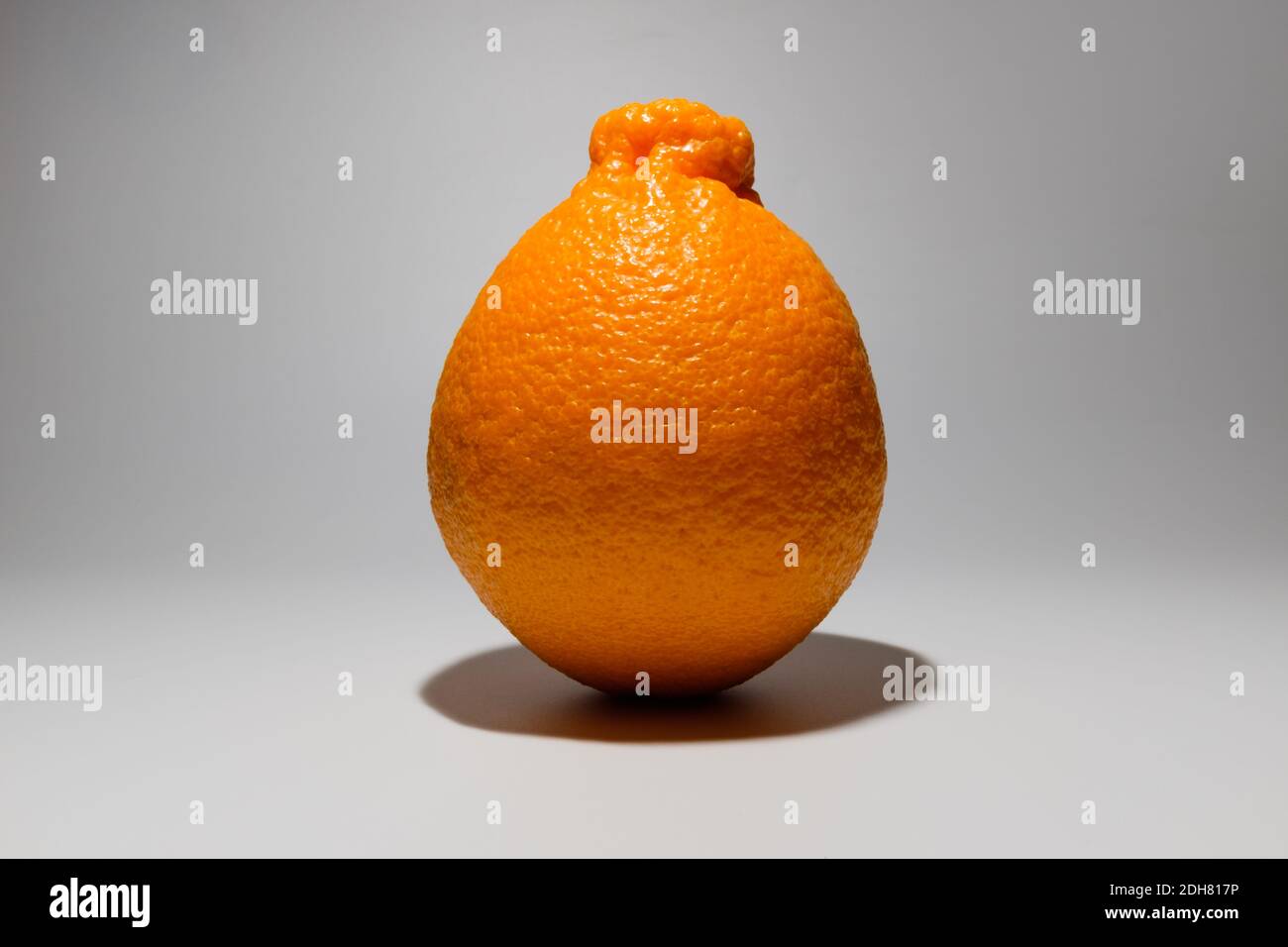 Jeju Island Citrus Hallabong on white background Stock Photo - Alamy