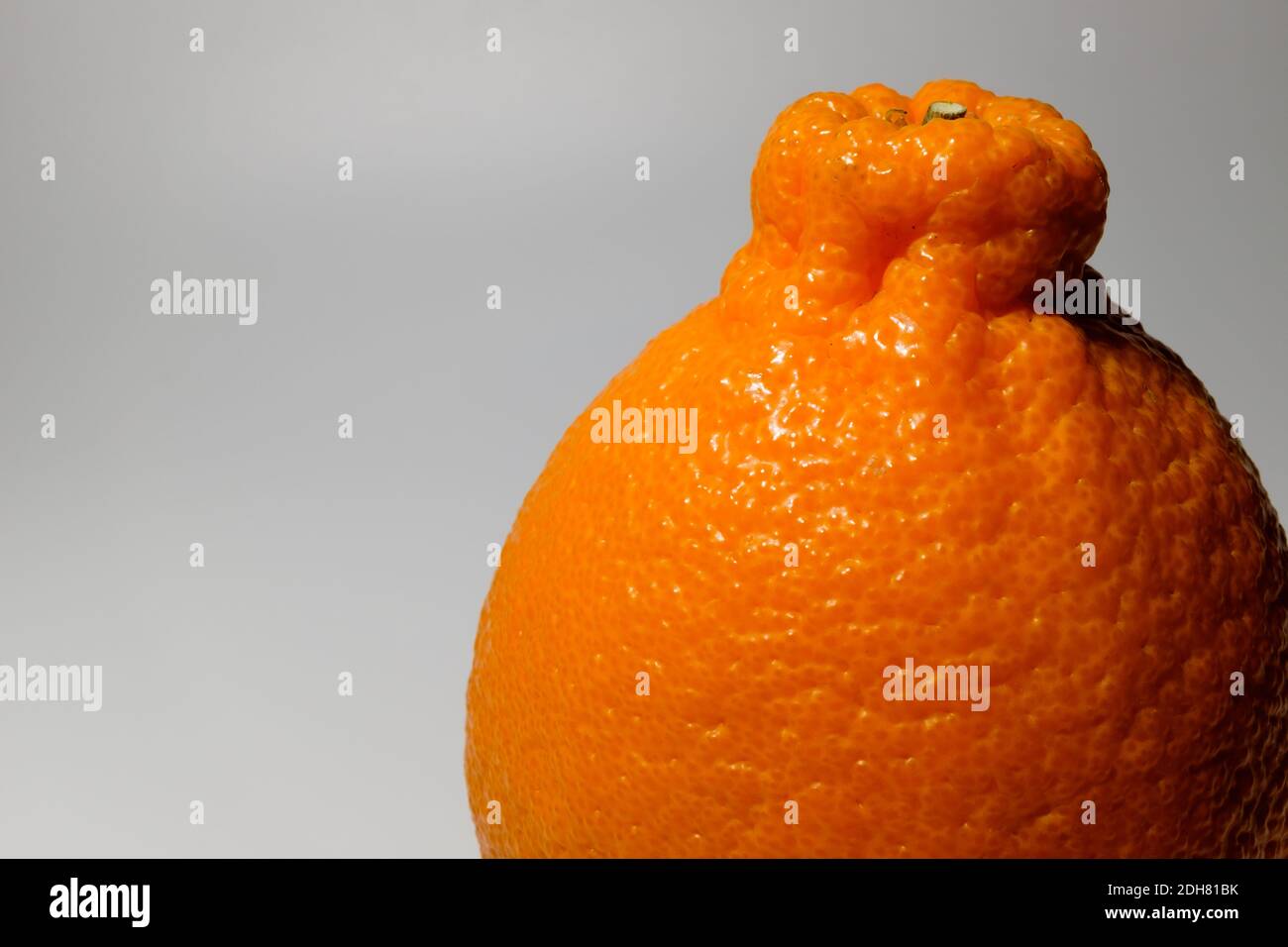 Jeju Island Citrus Hallabong on white background Stock Photo - Alamy