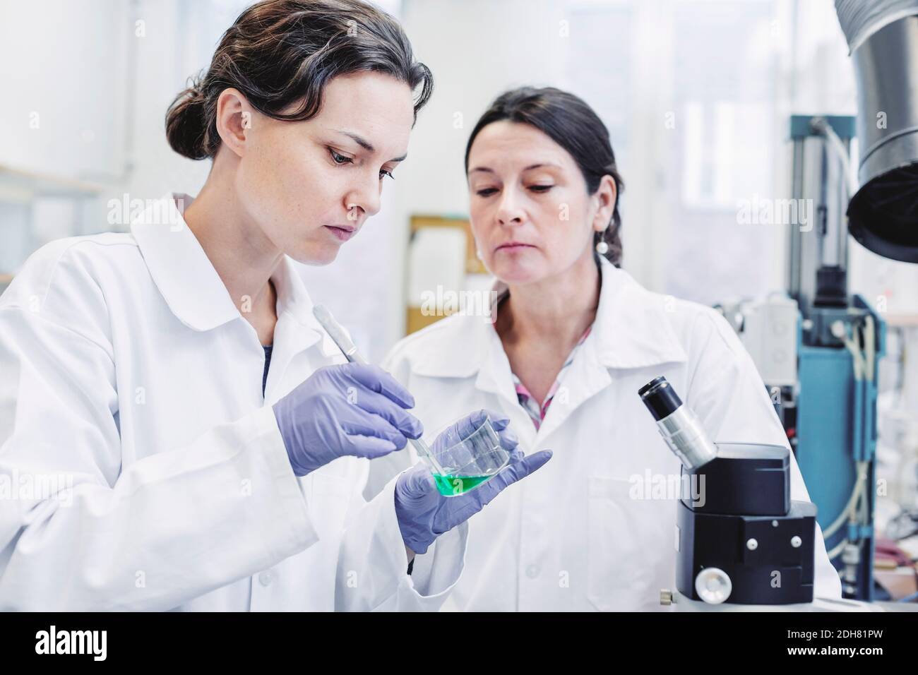Female scientists analyzing sample in laboratory Stock Photo - Alamy