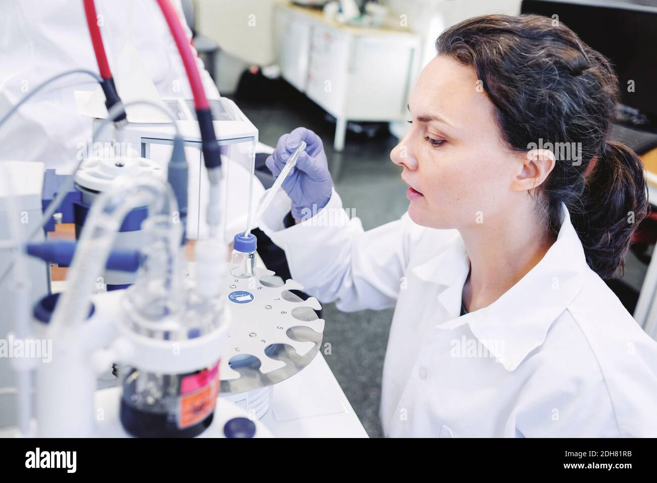 Female scientist using pipette in laboratory Stock Photo - Alamy