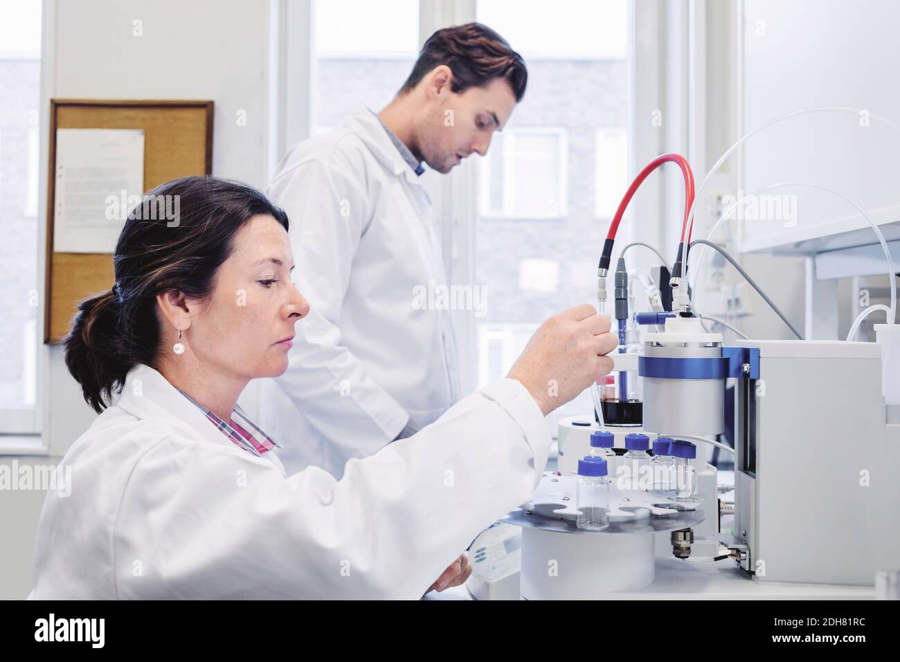 Male and female scientists working at laboratory Stock Photo - Alamy