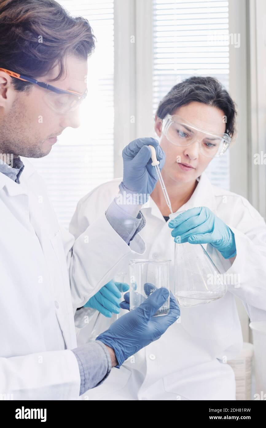 Male and female scientists examining sample in laboratory Stock Photo ...