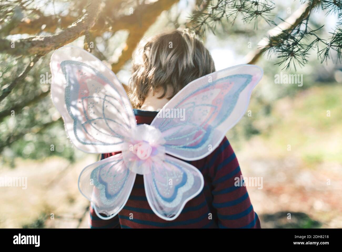 Fairy boy hi-res stock photography and images - Alamy