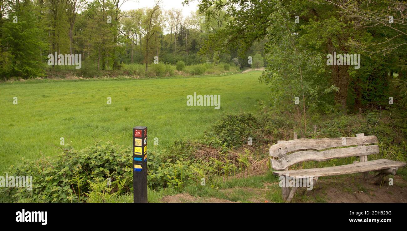 Spring scenery hi-res stock photography and images - Alamy