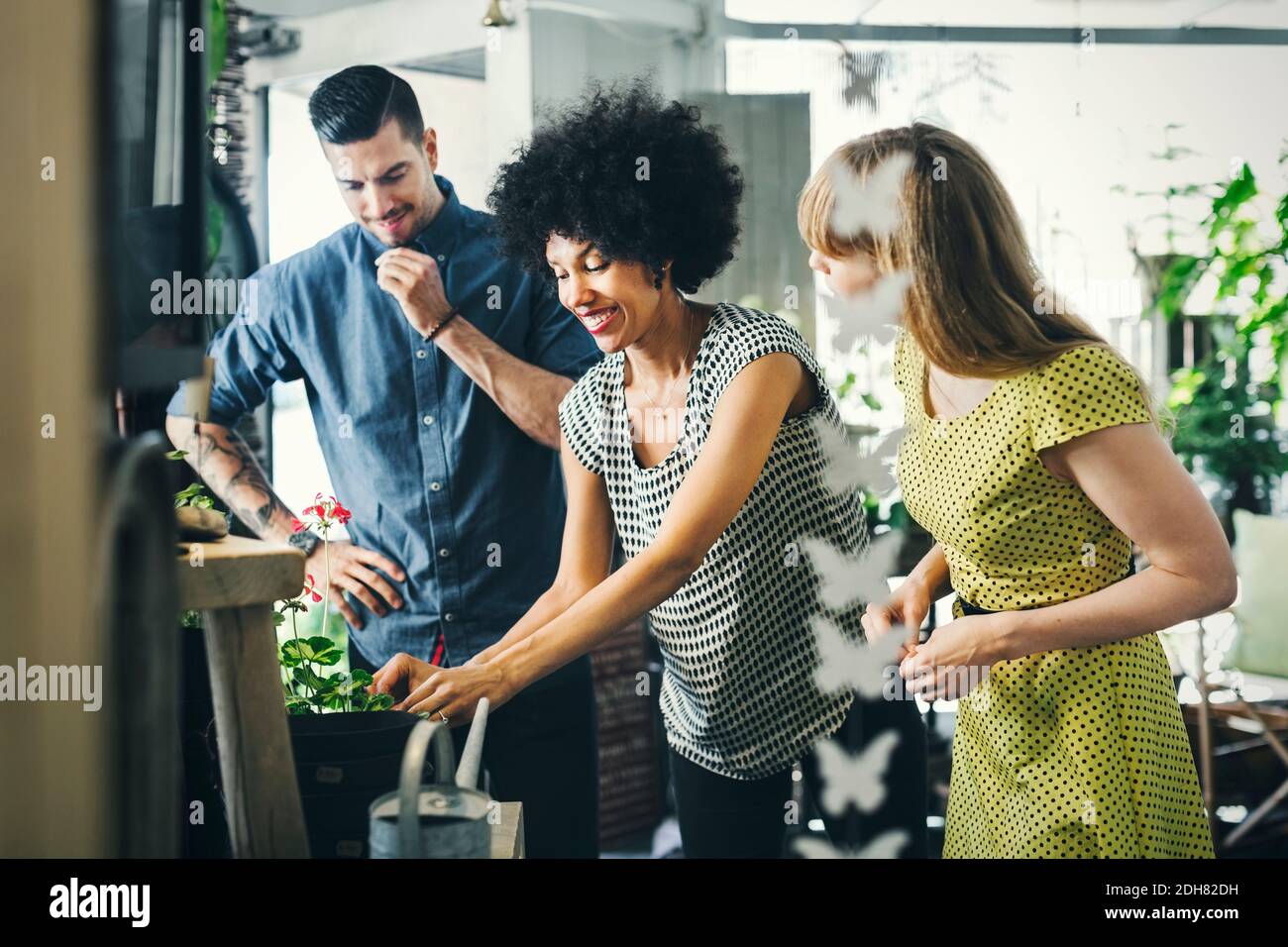 Happy colleagues working in plant shop Stock Photo - Alamy