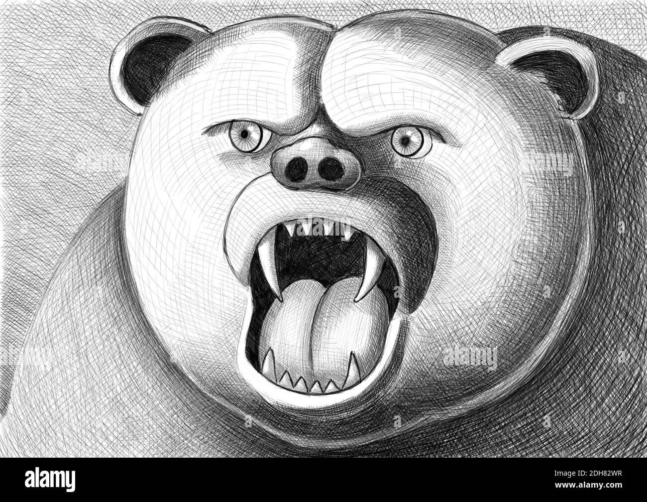 Digital drawing (sketch) of an angry bear head Stock Photo - Alamy