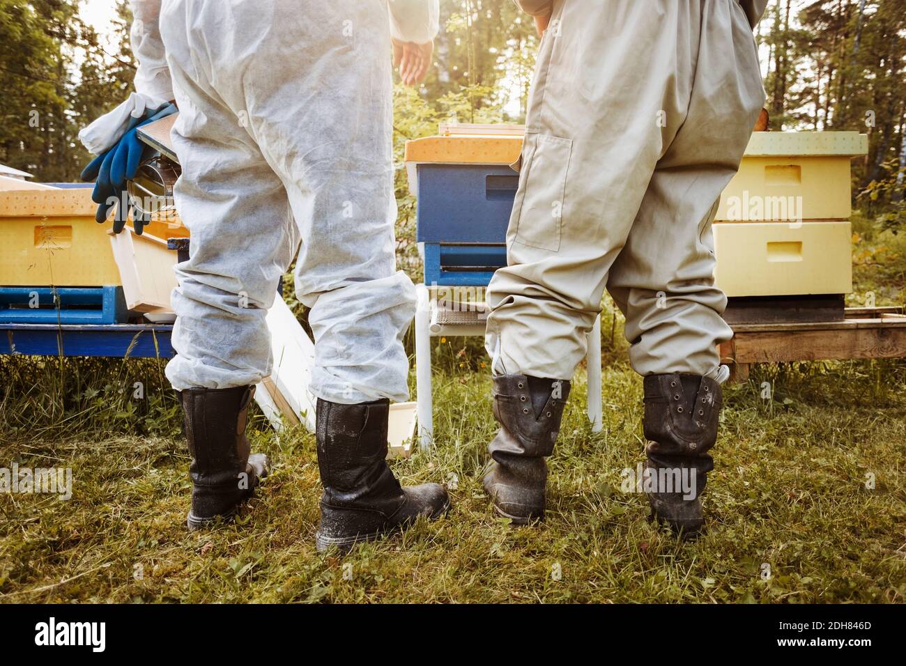 Low section rear view of beekeepers standing on field Stock Photo - Alamy