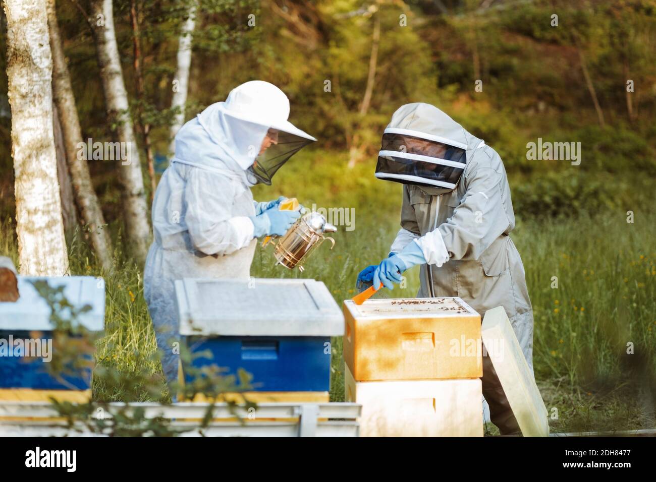 Male 55 60 years hi-res stock photography and images - Alamy