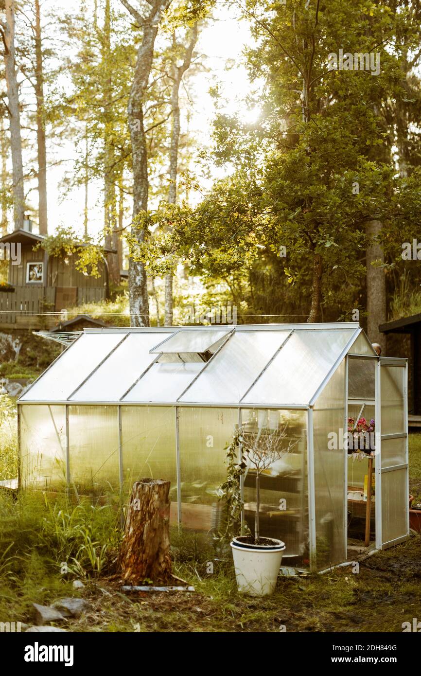 Small greenhouse on farm Stock Photo - Alamy
