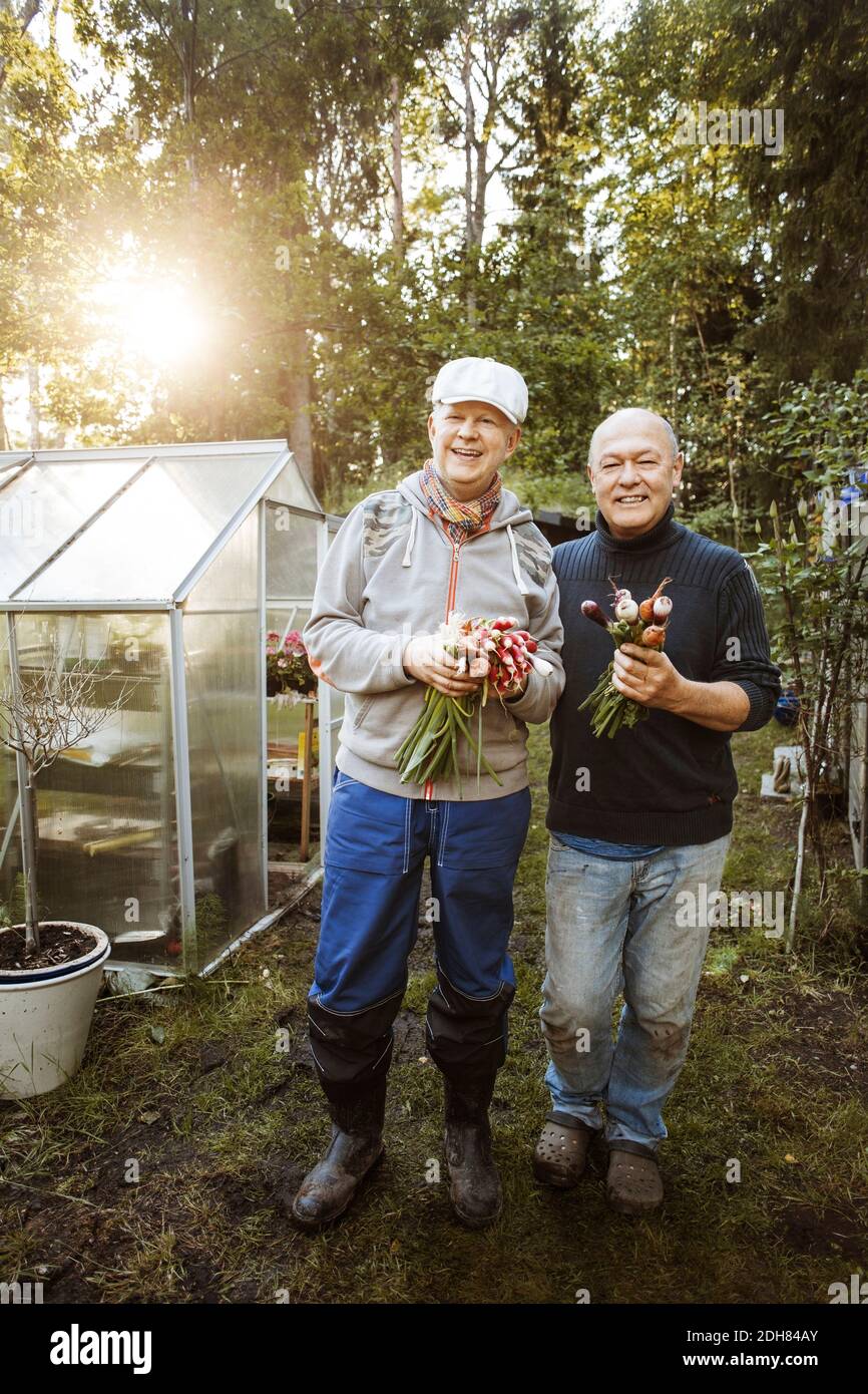 Portrait of happy gay couple holding fresh root vegetables at garden ...
