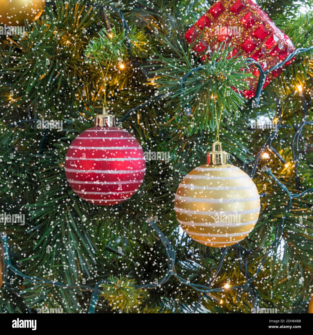 Tree season composite hi-res stock photography and images - Alamy