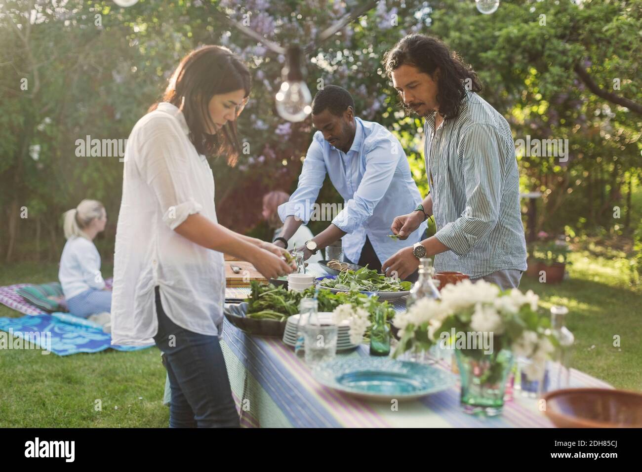 Summer party backyard hi-res stock photography and images - Alamy