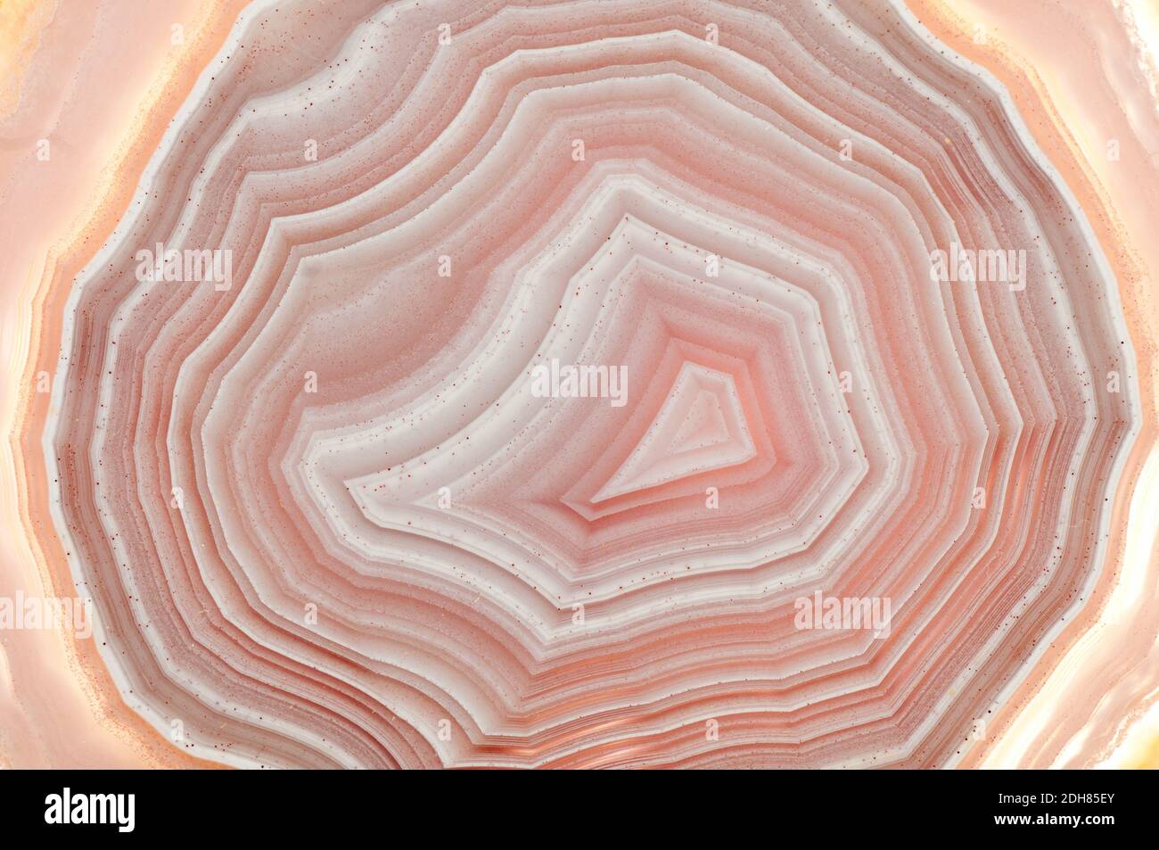 rough round agate mineral sample with outer shell geode Stock Photo - Alamy