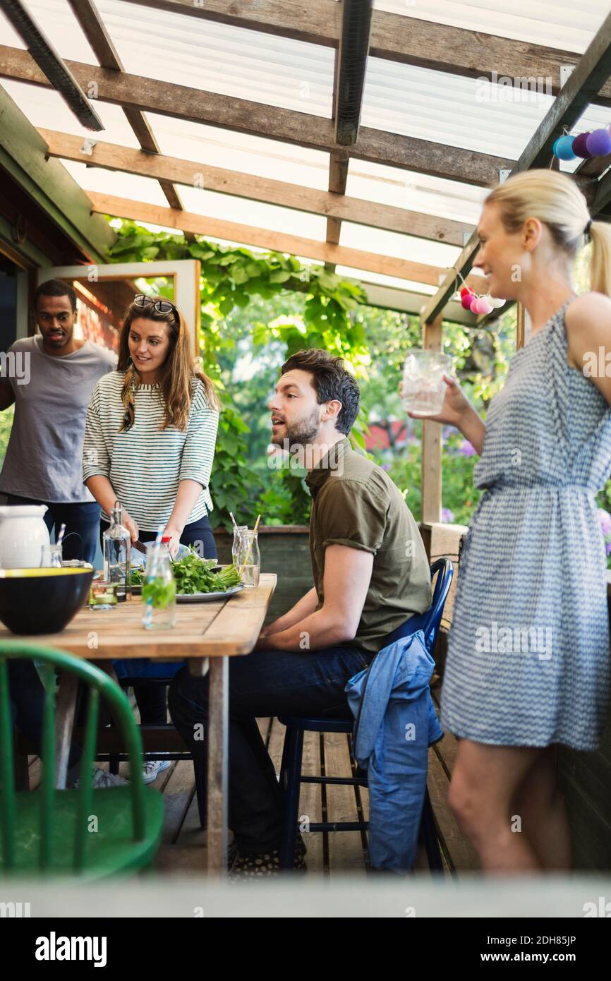 Happy friends enjoying summer party at log cabin Stock Photo - Alamy