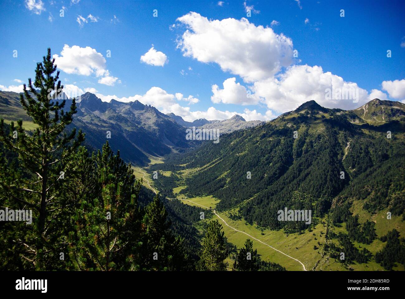 View into a long valley of the French Pyrenees Stock Photo - Alamy