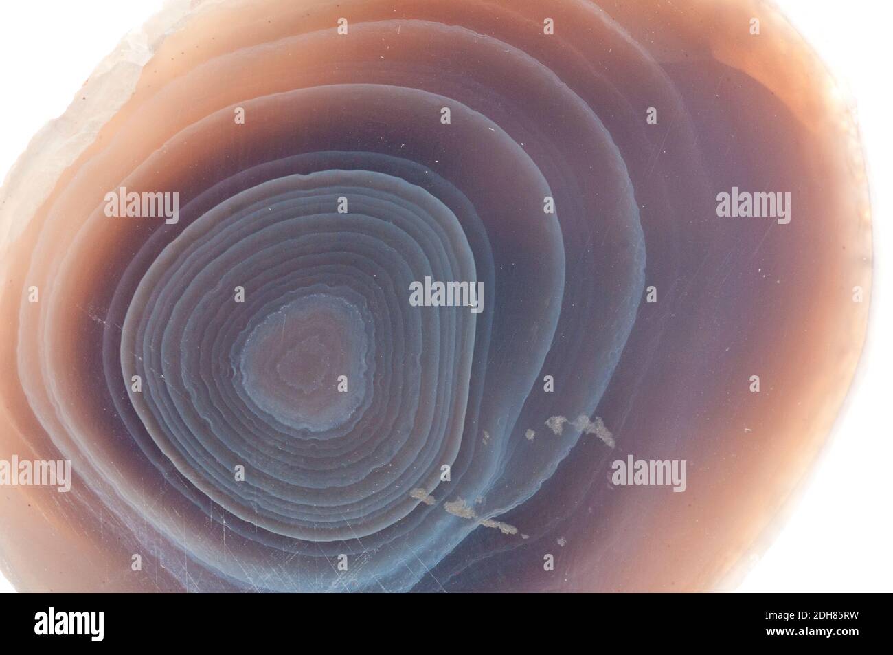 rough round agate mineral sample with outer shell geode Stock Photo - Alamy