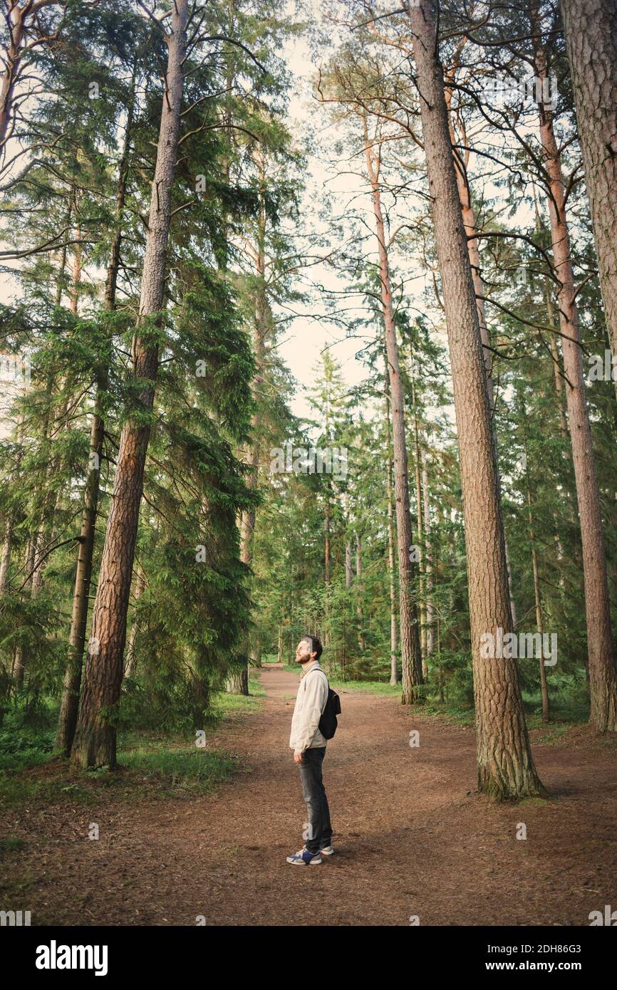 Full length side view of man standing in forest Stock Photo - Alamy