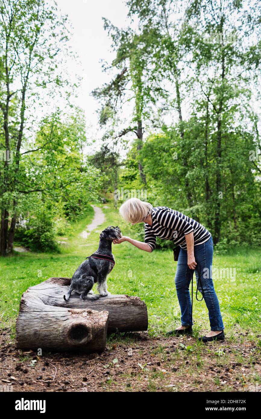 Woman dog standing log hi-res stock photography and images - Alamy