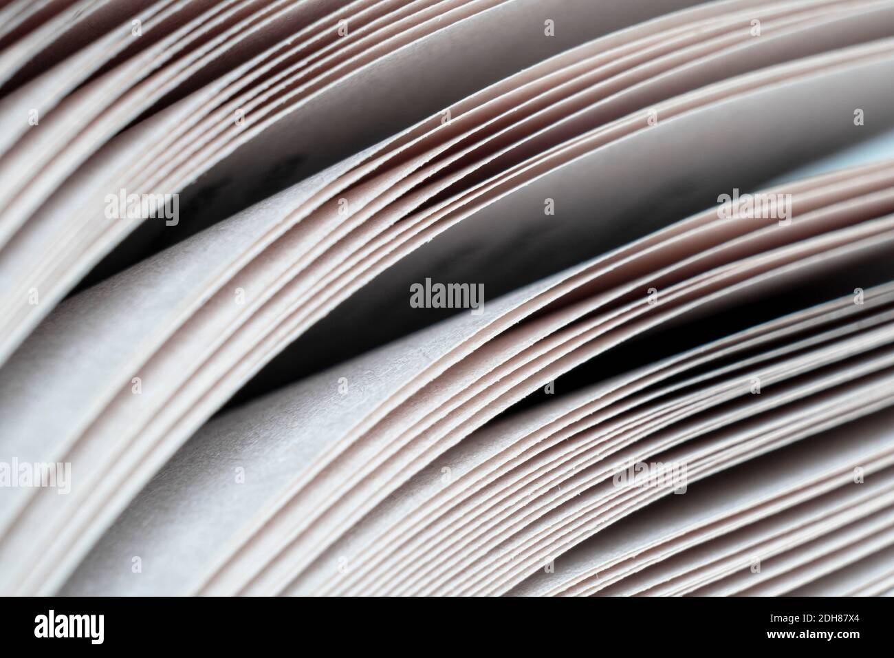Macro shot of open book. Education and study concept. Close-up of ...