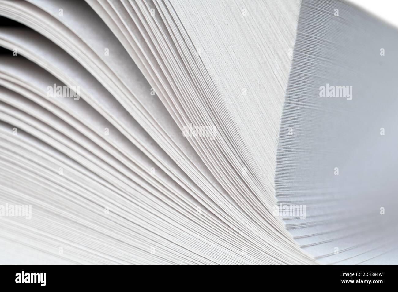 Macro shot of open book. Education and study concept. Close-up of ...