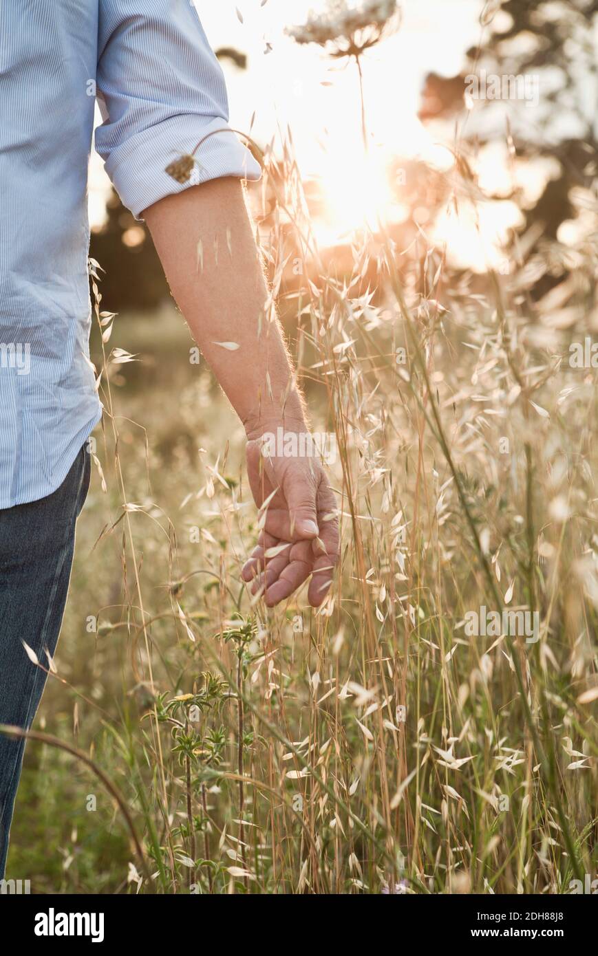 Hand over hi-res stock photography and images - Alamy