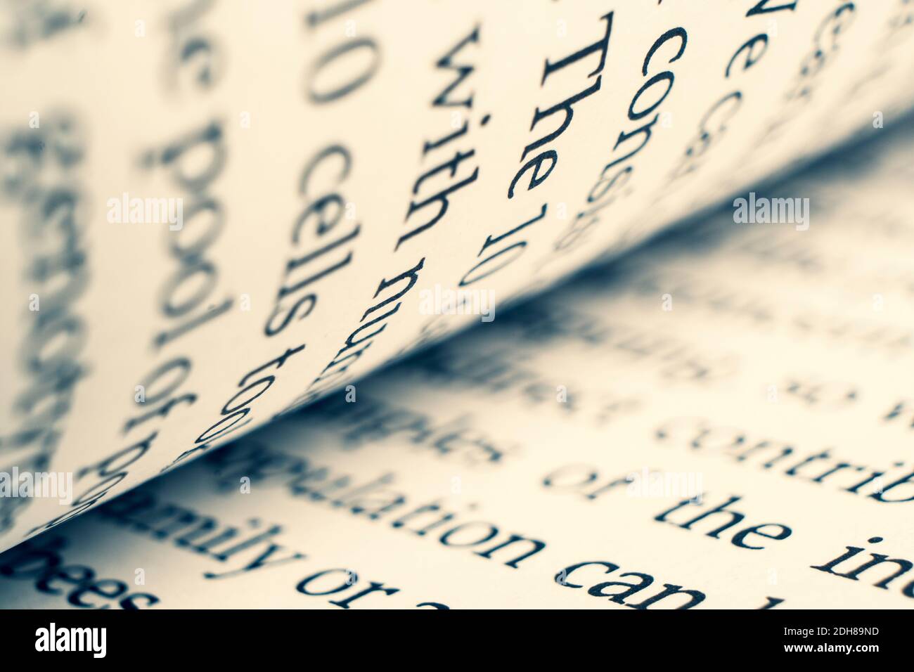 Macro shot of open book. Education and study concept. Close-up of ...