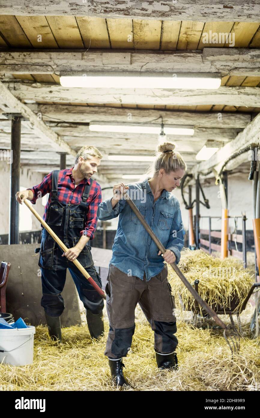 Man Woman Hay Barn High Resolution Stock Photography and Images - Alamy