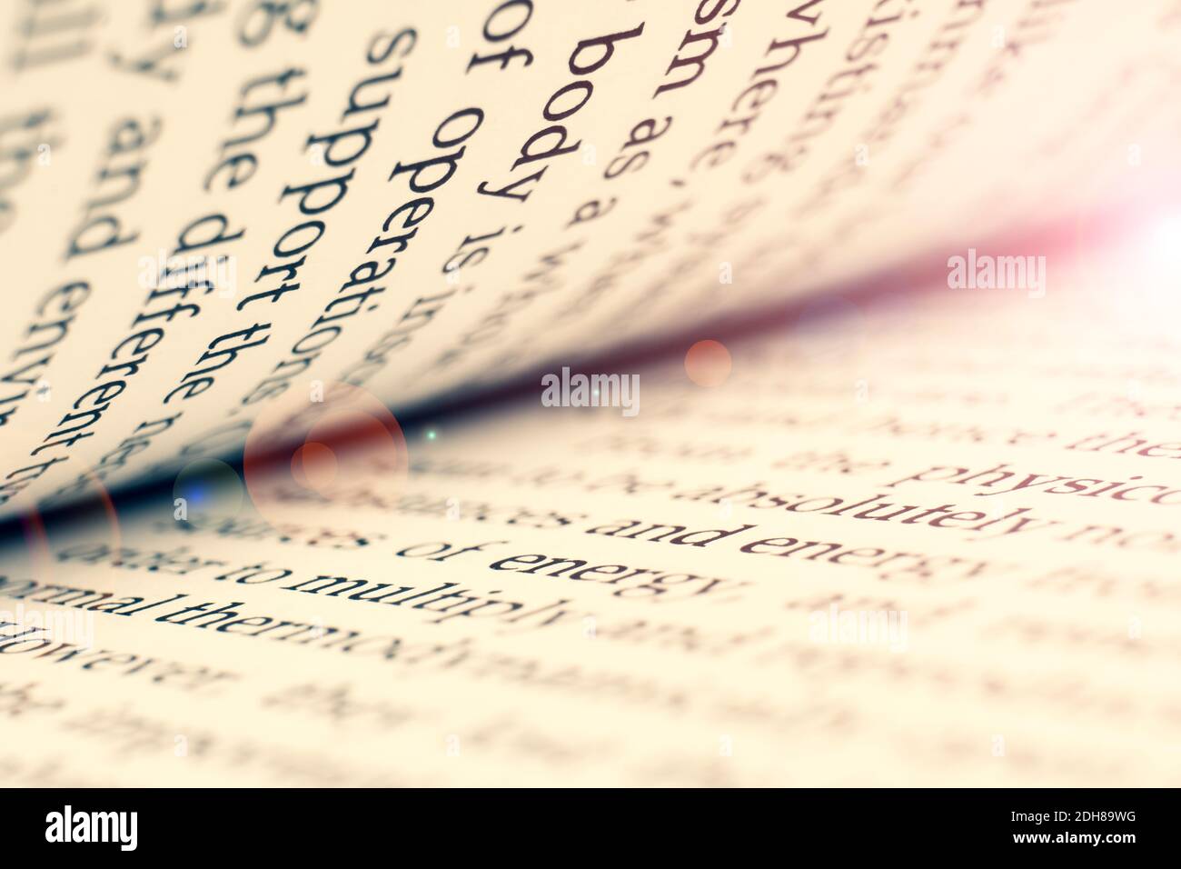 Macro shot of open book. Education and study concept. Close-up of ...