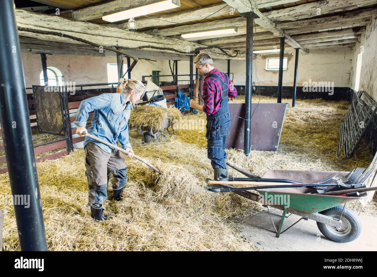 Man Woman Hay Barn High Resolution Stock Photography and Images - Alamy