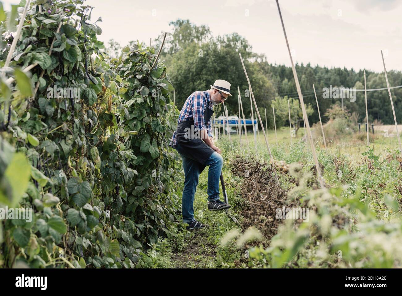 Farmer digging hi-res stock photography and images - Alamy