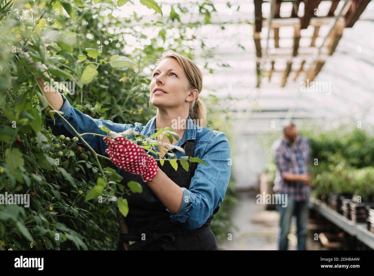 Working gardeners hi-res stock photography and images - Alamy