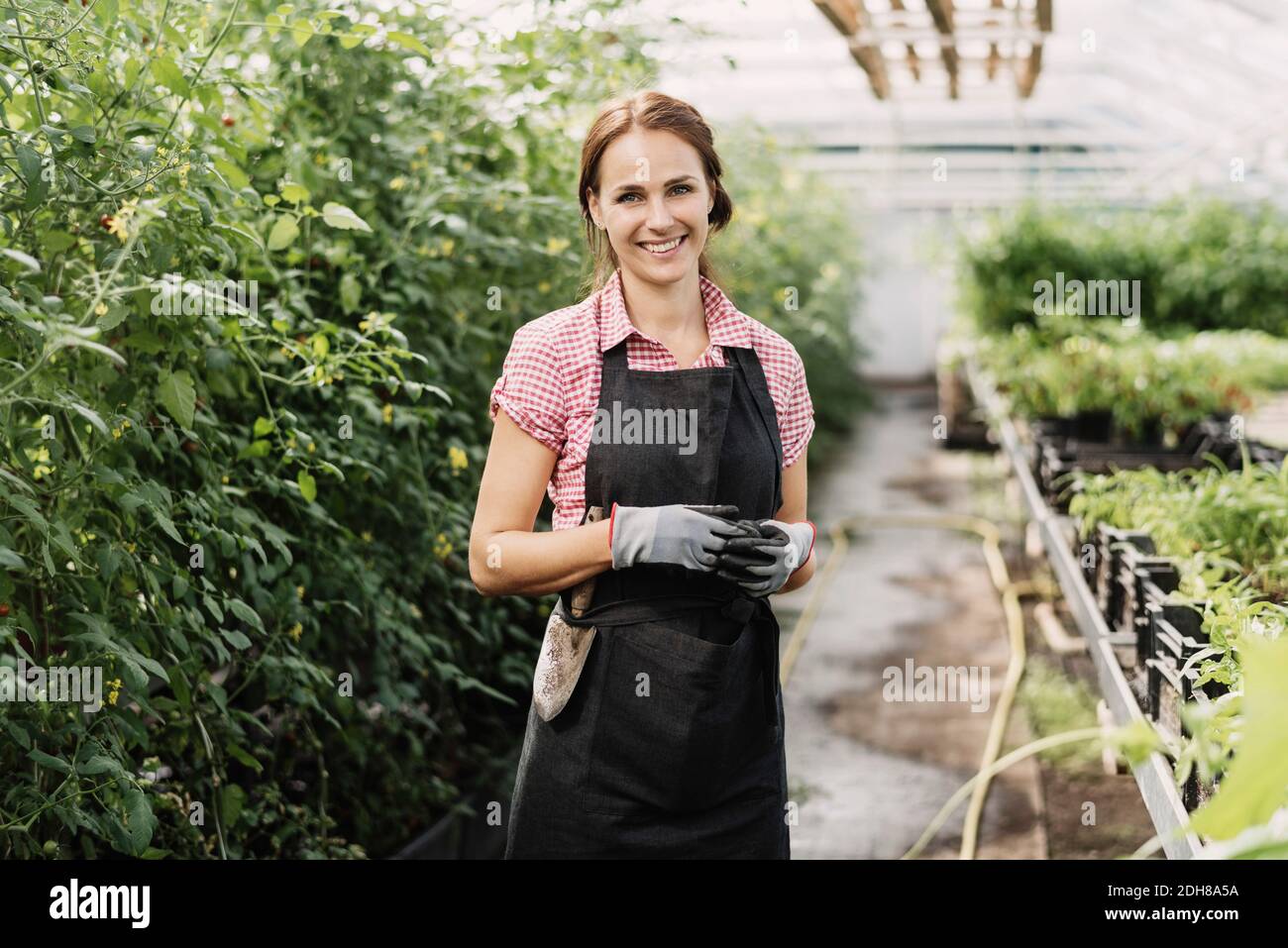 Mature female gardener in hi-res stock photography and images - Alamy