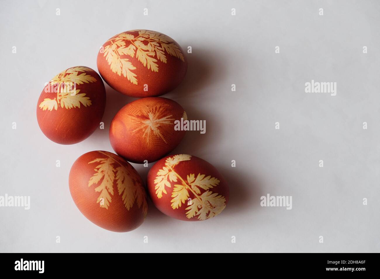 Painted Easter eggs on a white background. Floral pattern on a red ...