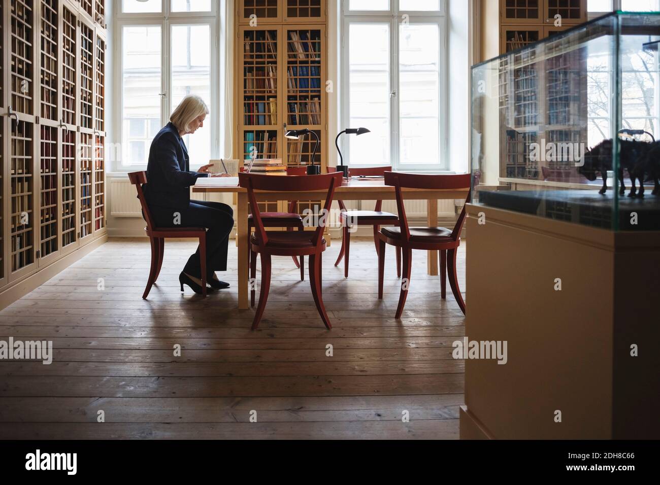 Side view of senior female lawyer reading book in library Stock Photo ...