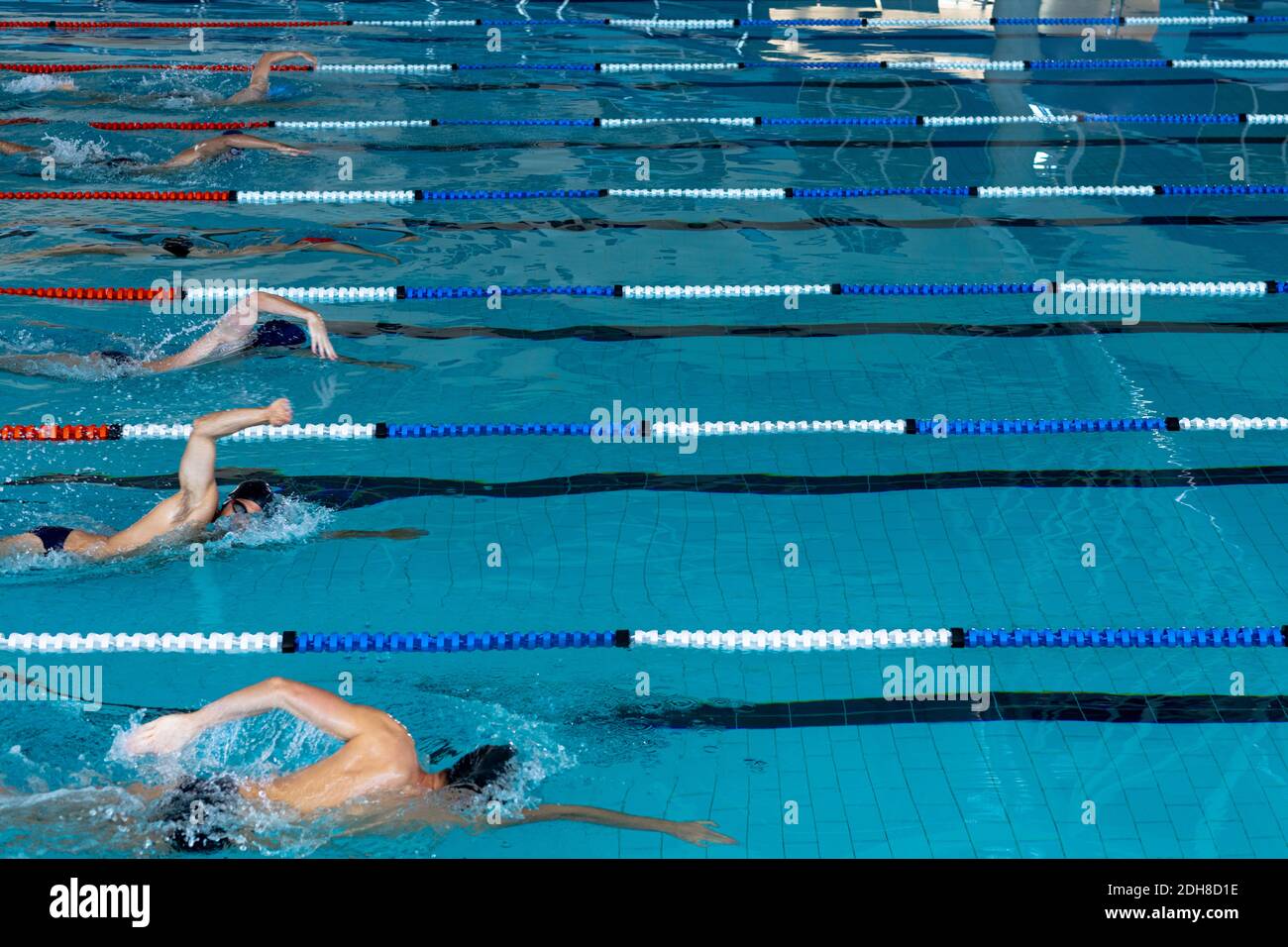 Swimmers swimming in the pool Stock Photo - Alamy