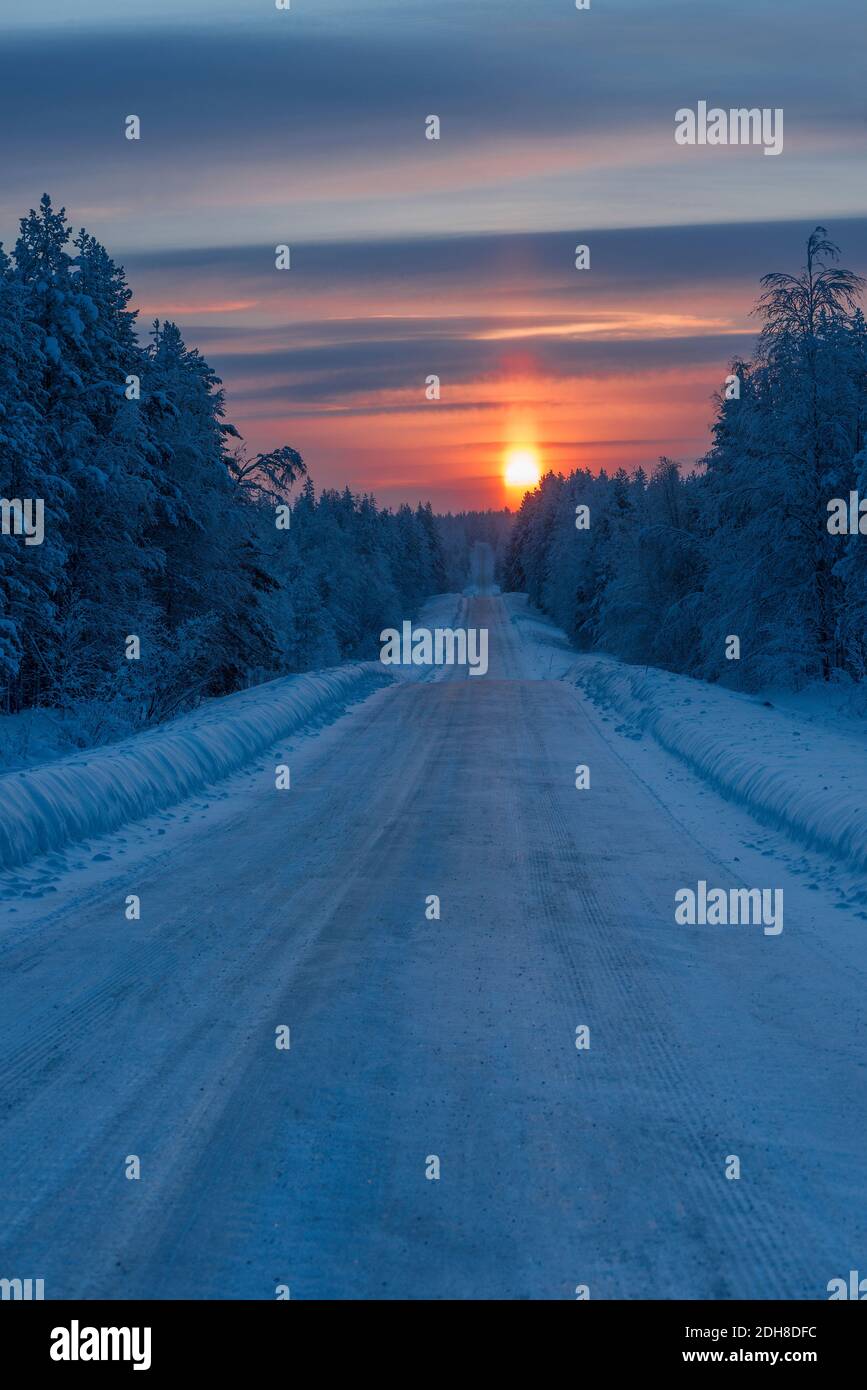 during winter in Lapland, Sweden, Norrbotten Stock Photo - Alamy