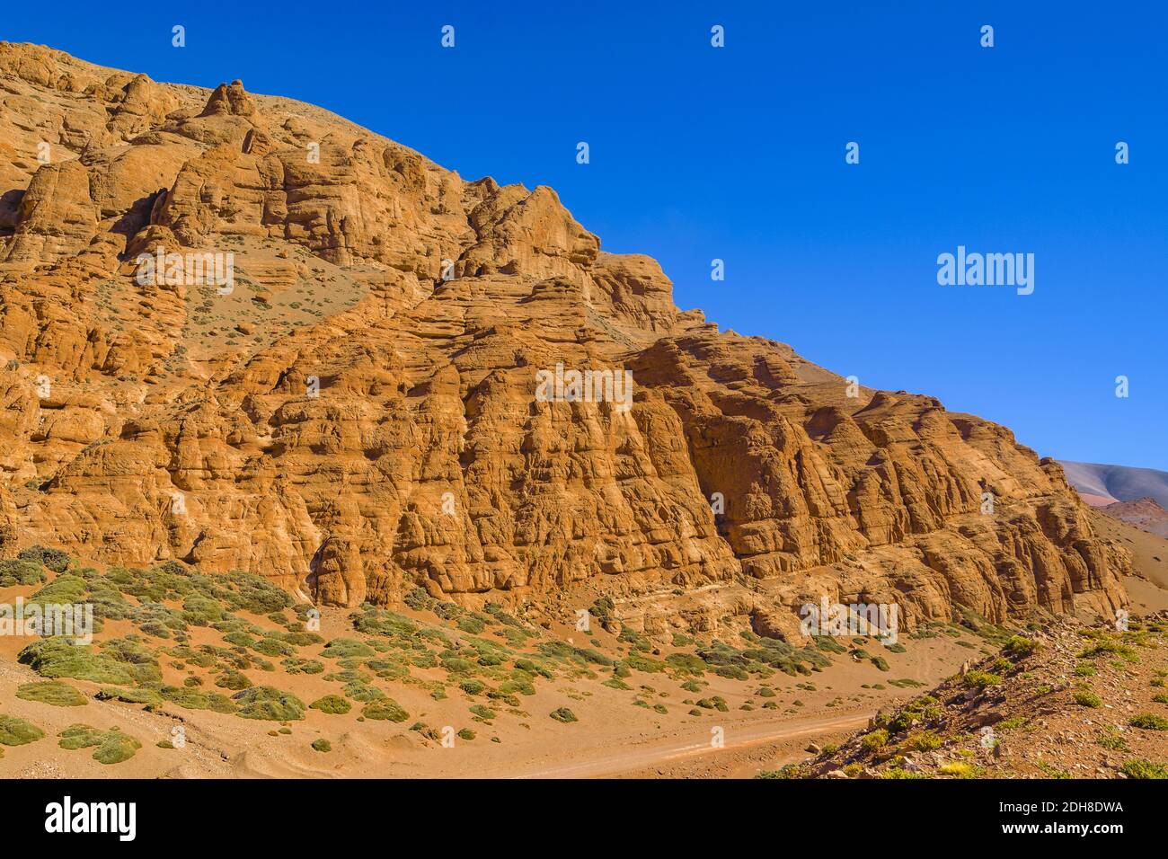 Arid Landscape Brava Lagoon Reserve La Rioja, Argentina Stock Photo - Alamy