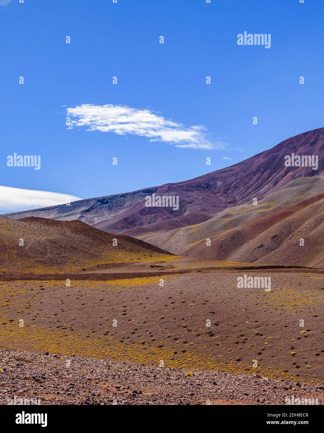 Arid Landscape Brava Lagoon Reserve La Rioja, Argentina Stock Photo - Alamy