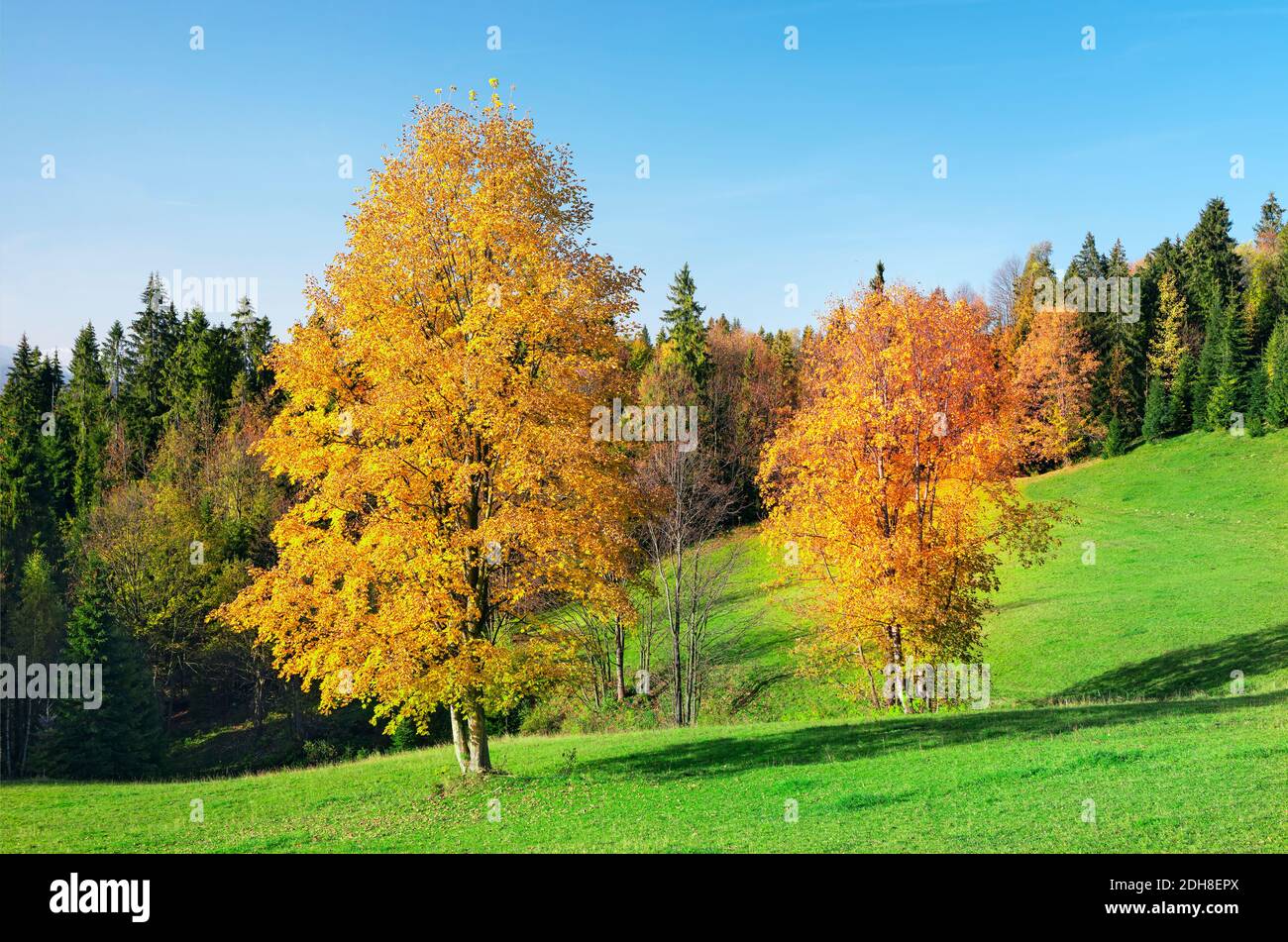 Autumn view on High Tatras mountains national park in Slovakia Stock ...