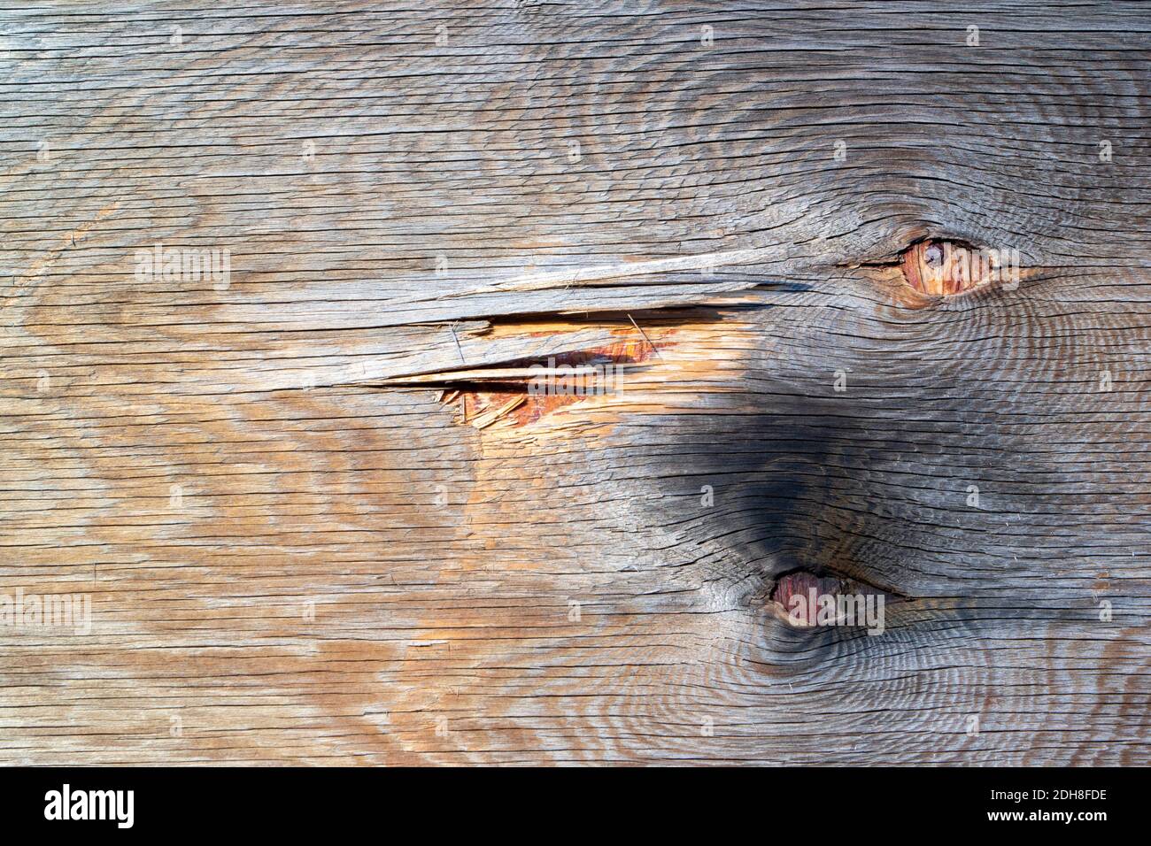 Wood texture. The surface of the plywood exposed to weather conditions ...