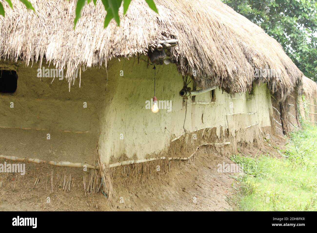 Bihar village hi-res stock photography and images - Alamy