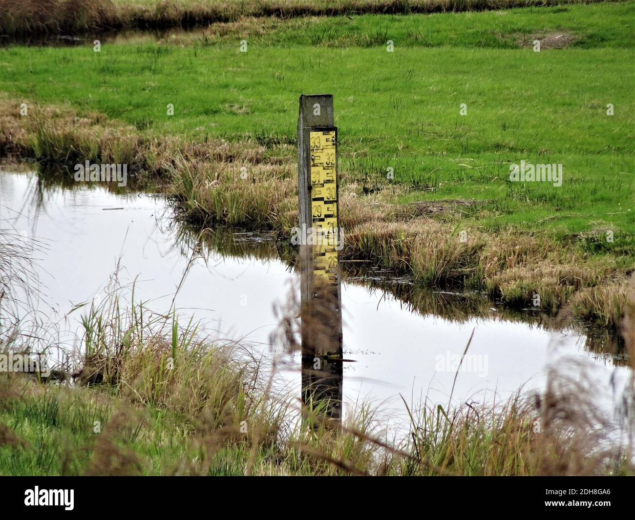 A closeup of a water level indicator gauge at the river Stock Photo - Alamy