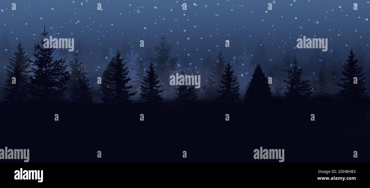 cold night time winter snow trees in the forest dark banner Stock Photo ...