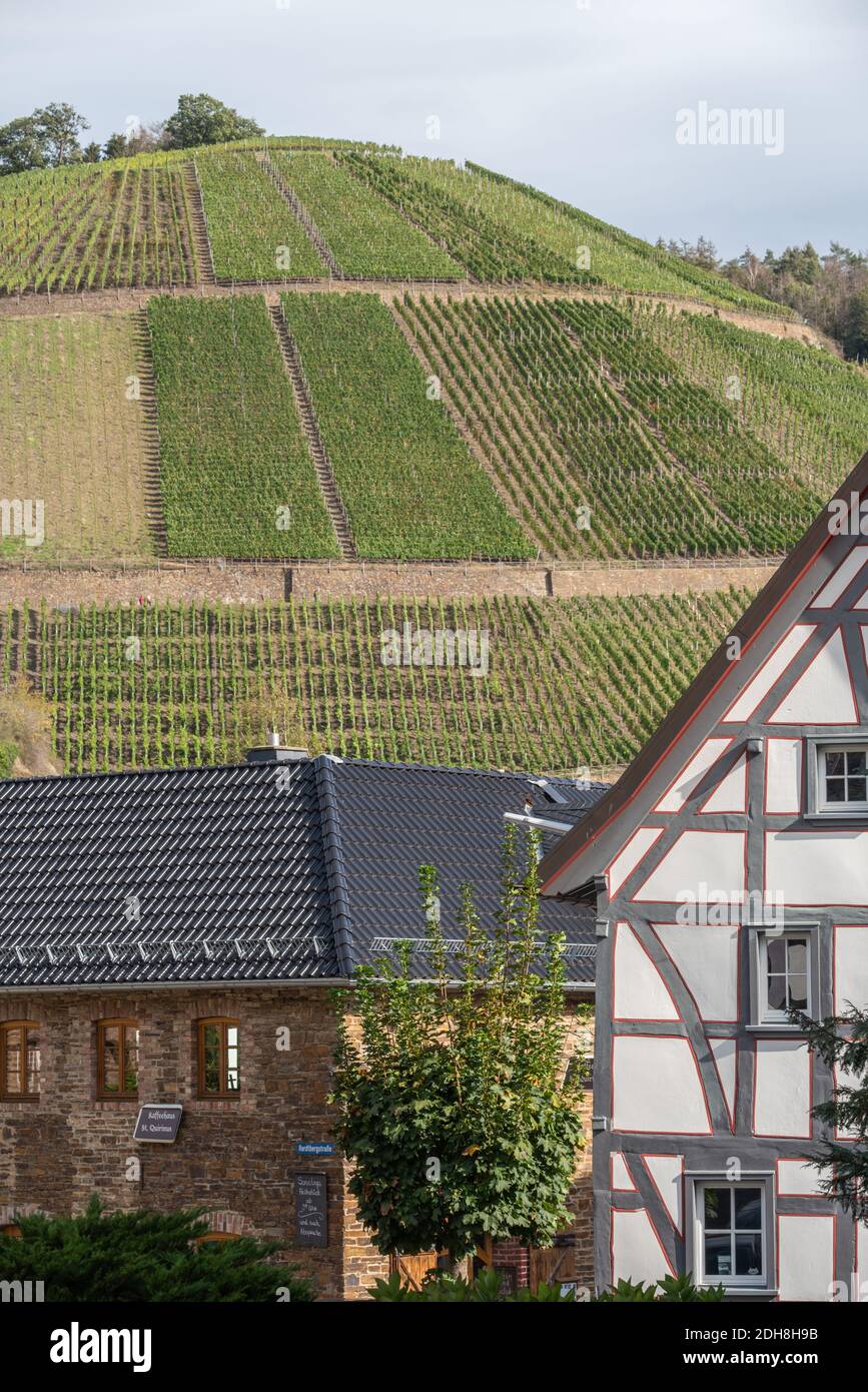 Vines terraces hi-res stock photography and images - Alamy